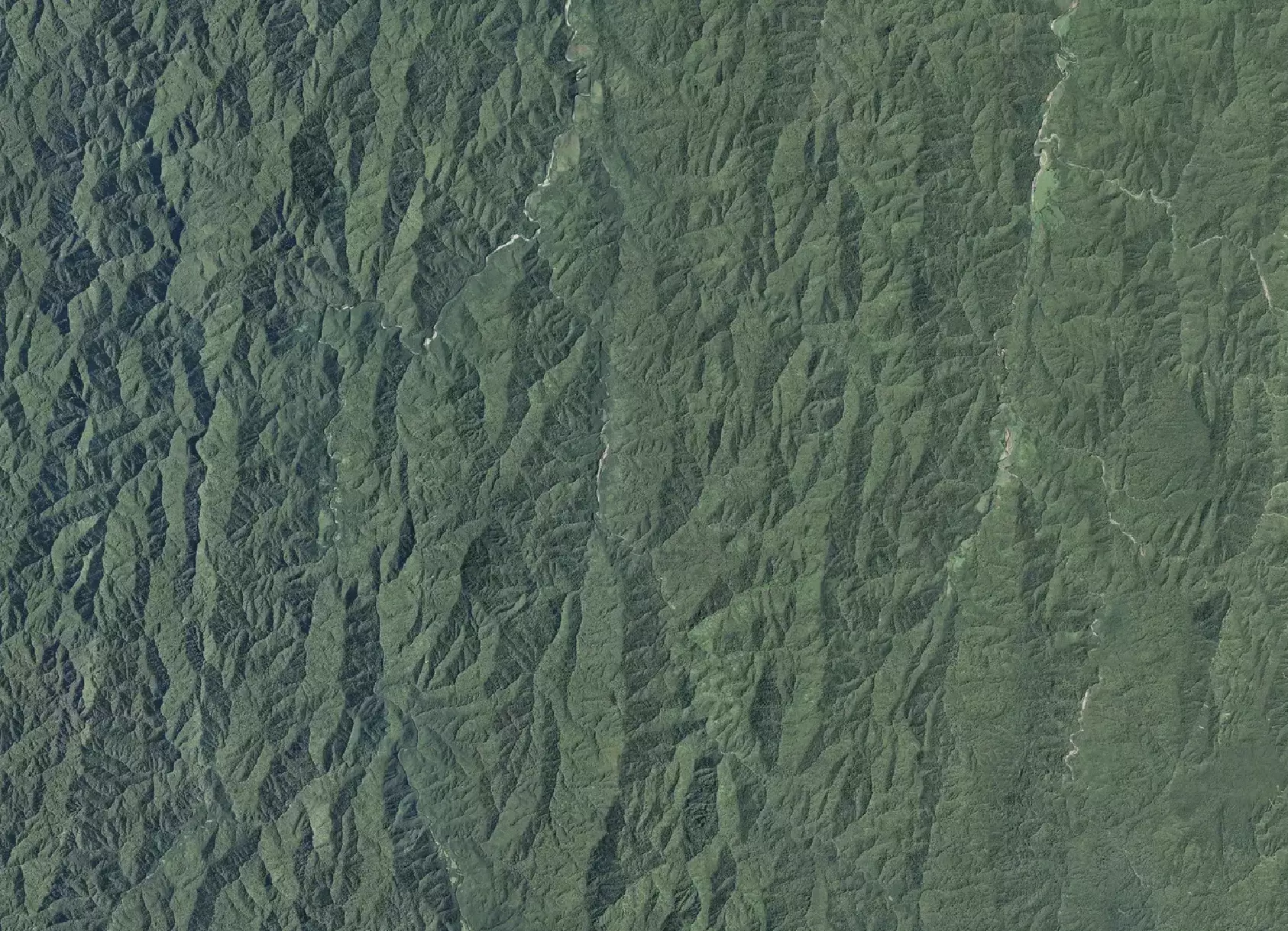 Relief shade - LINZ Basemaps