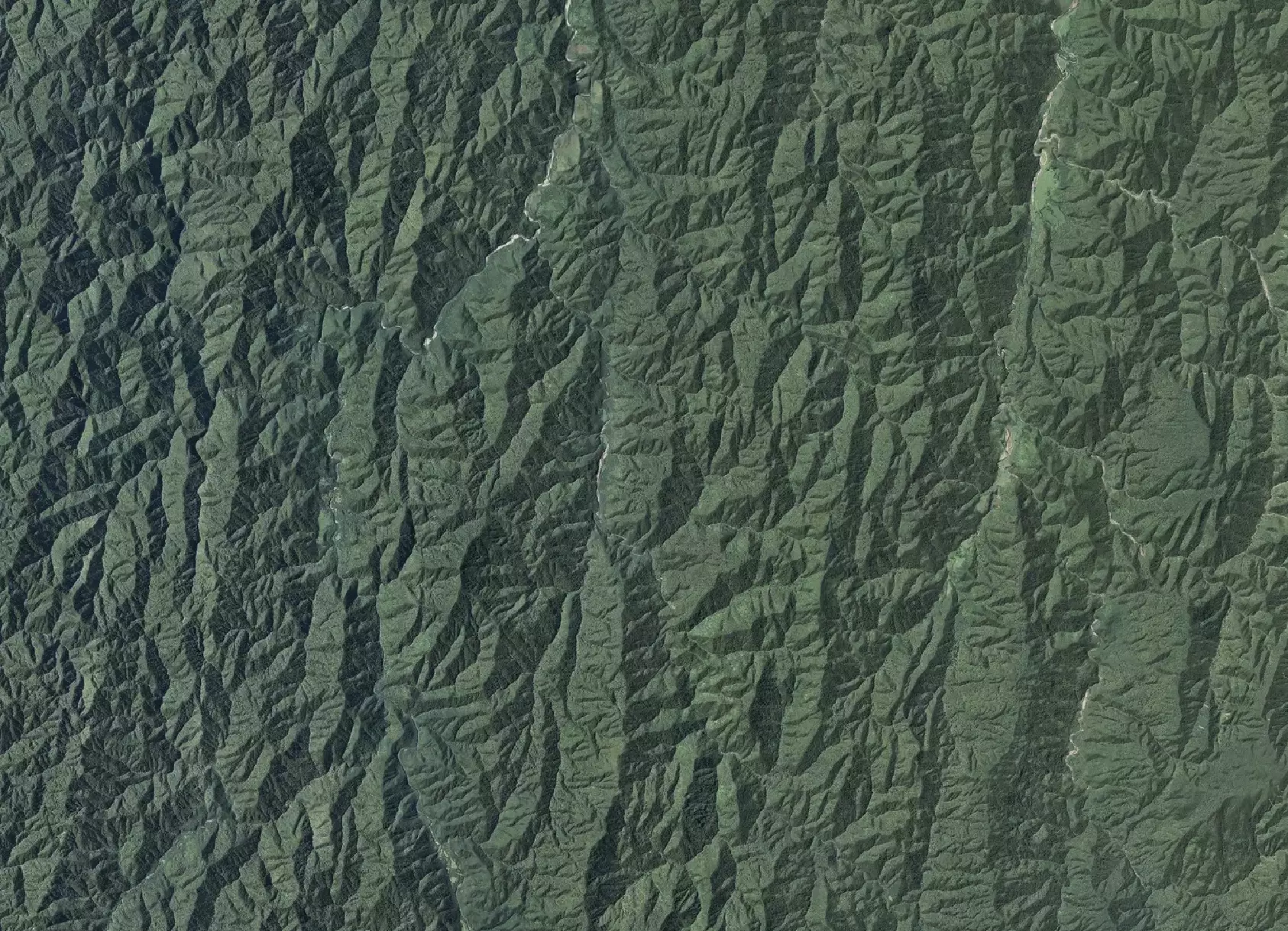 Relief shade - LINZ Basemaps