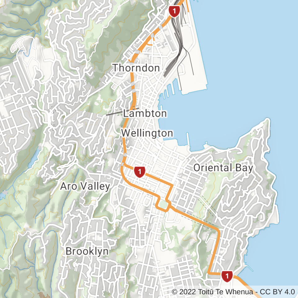 Working with Vector Tiles - LINZ Basemaps